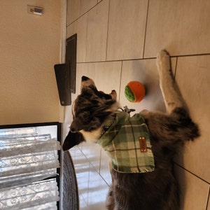 Huckleberry Dog Bandana summer, Spring, Rustic, Flowers, Floral, Summer ...