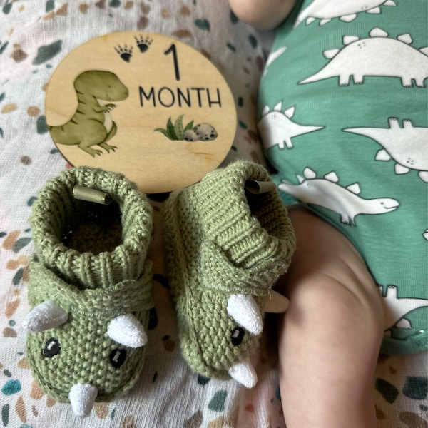 Dinosaur Milestone Cards, Baby Milestone Dinosaur Discs Marker, Wood ...