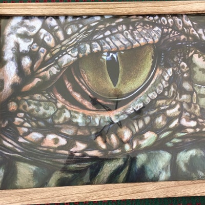 Fruit Bat Named Statler 5 X 7 Print by Wildlife - Etsy