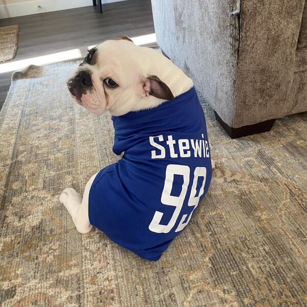 Custom Sports Dog Jersey - Personalized Dog Shirt With Name & Number ...