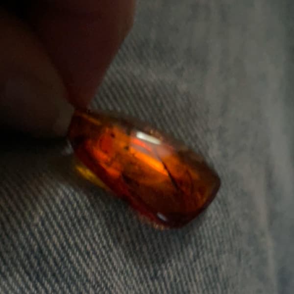 Large Amber Stone Collectors Specimen, Amber for Display, Large Palm ...