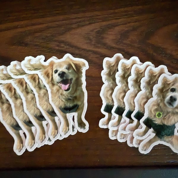 Custom Pet Sticker, Die Cut Vinyl Waterproof, Personalized Gift, Custom ...