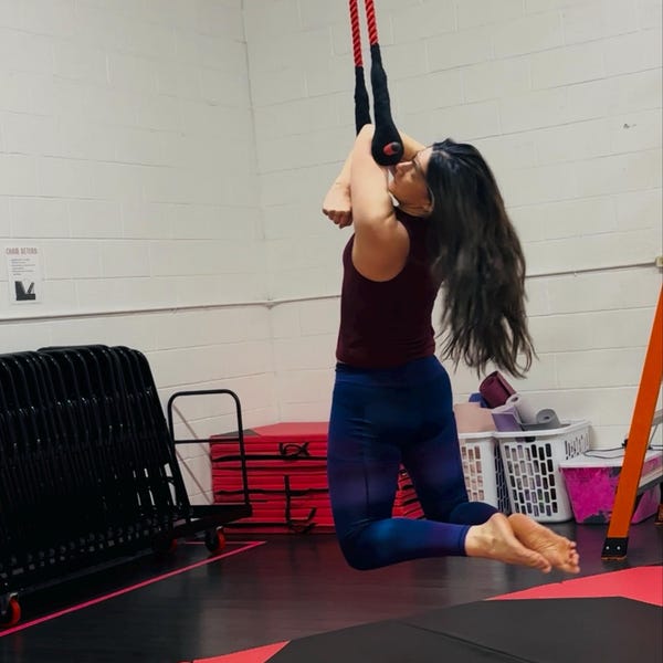 Aerial Trapeze Static, Circus Trapeze Static, Home Acrobatic Props ...