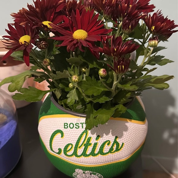 Plntrs - WNBA Wilson Authentic Series Basketball Planter - New Ball ...