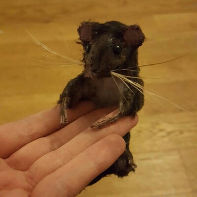 Posable Soft Finger Mice - Etsy