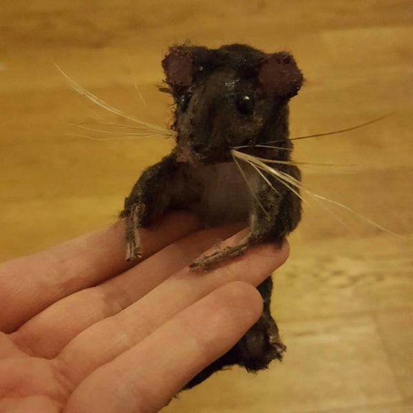 Posable Soft Finger Mice - Etsy