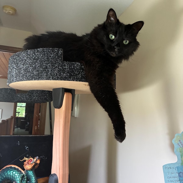 Trek Style Desk Elevated Cat Nest / Cat Tree - Etsy