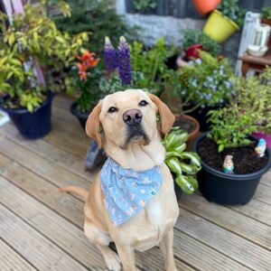 BundleOfWoofs - Etsy