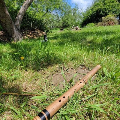 Dragon Skin Native American Style Bamboo Flute in the Key of C. Ethnic ...