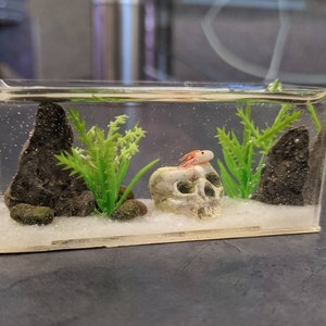 Miniature Super Mario Axolotl Tank | Etsy UK