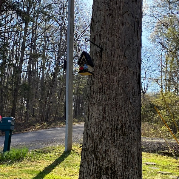 Edible Bird Home, Birdseed Birdhouse, Bird Seed House, Handmade Bird ...