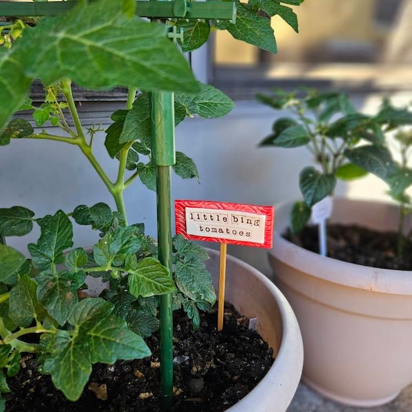 I Will Survive Plant Stake | Funny Plant Signs| Puny Plant Markers ...