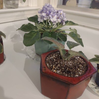 Self Watering Hexagon Shape Ceramic Pot, African Violet Pot, Succulent ...