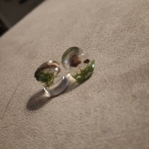 Natural Moss Mushroom Gauges Real Plug Mushroom Plug - Etsy