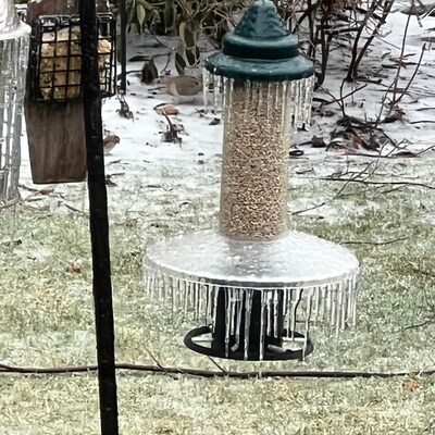 Gilwood Slot Box Bluebird House - Etsy
