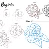 How to Draw Woodland Flowers, Insects and Foliage 40 Step by Step ...