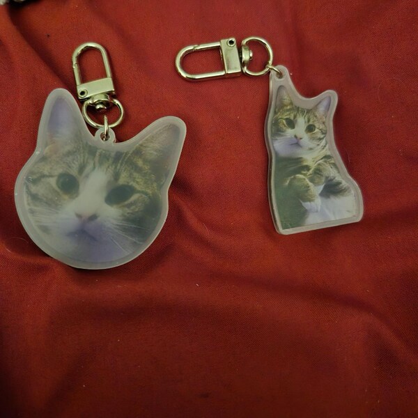Custom Cat Keychain, Dog Keychain, Pet Keychain, Personalized Pet Photo ...