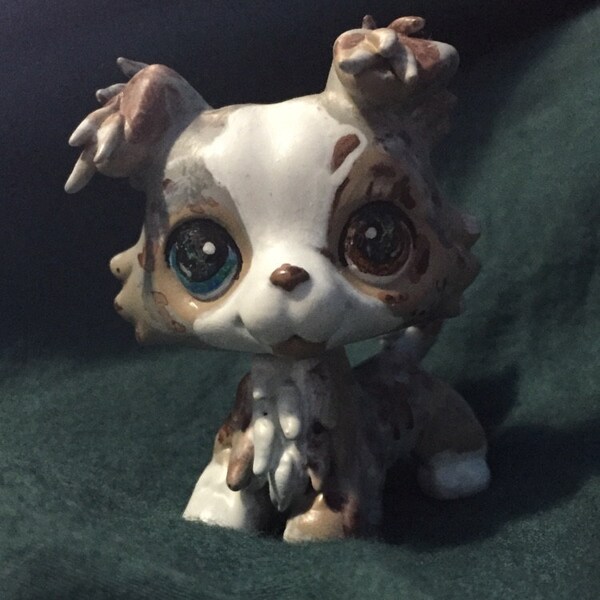 LPS Littlest Pet Shop Handpainted Bug Custom - Etsy