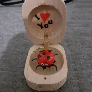 6 Wooden Boxes With a Ladybug I Love You 1.5 Wiggily Legs - Etsy