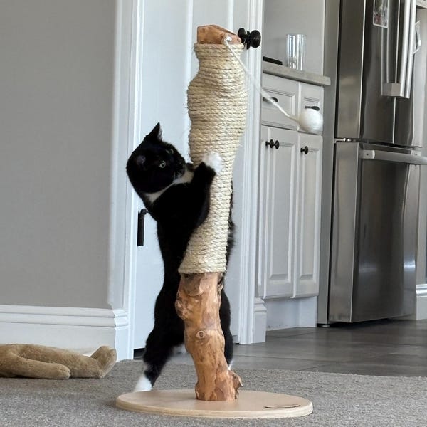 Hardwood Sisal Custom Cat Scratching Post - Etsy