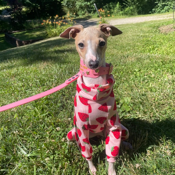 Italian Greyhound Rib Knit Pjs - Etsy