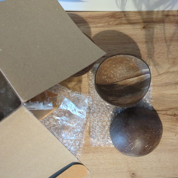 Coconut Hut | Customize Your Coconut Shell Hut | Coconut Bird House ...