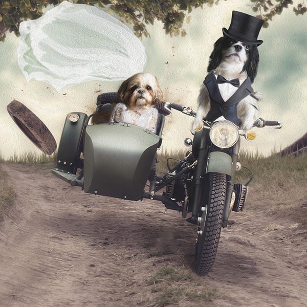 Runaway Sidecar Digital Background / Valentines Backgrounds & Overlays ...