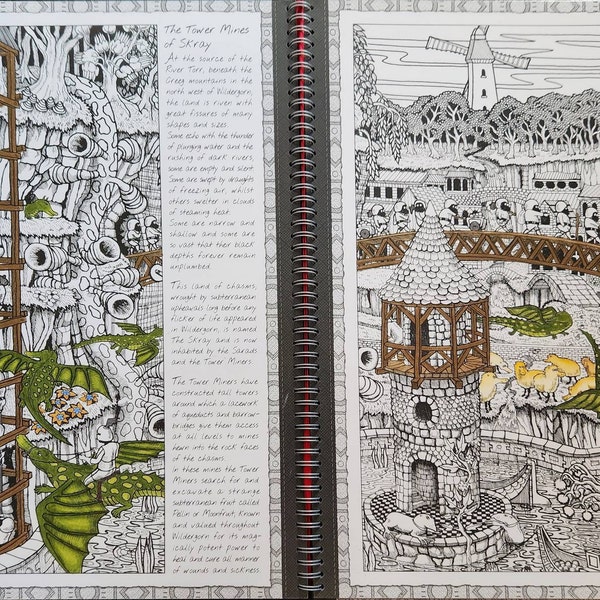 Watergorn - GIANT 27"x 40" Wildergorn Colour-in Poster by Jamie ...