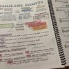 Vital Signs Nursing Notes and Study Guides by Cece - Etsy