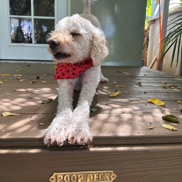 Brass Door Signs - Poop Deck, Head, Screw Room, Captain, Skipper - Rum ...