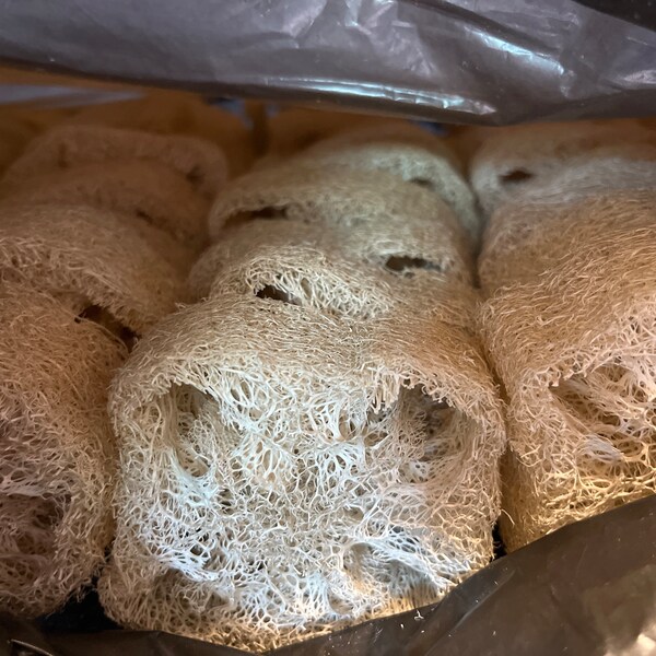 8 Oz. Pulverized Powder Loofah - Etsy