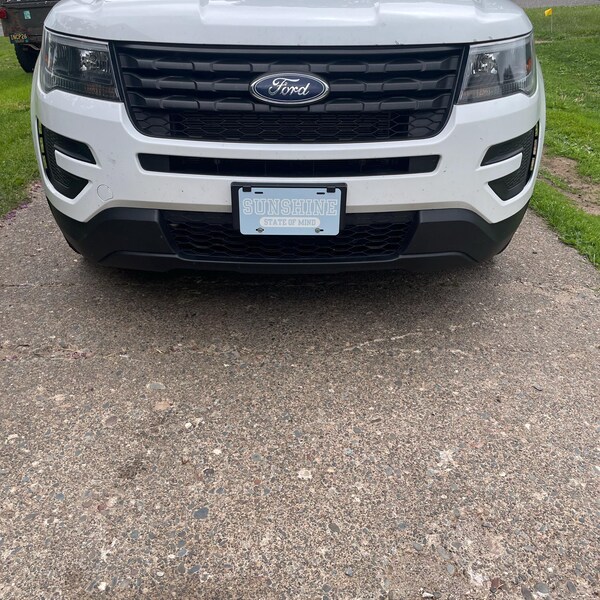 Green Palm Tree License Plate, Cute Car Accessory, Coastal License ...