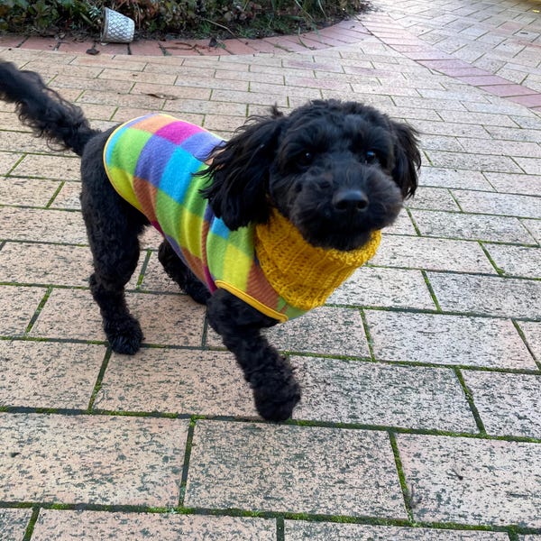 Dachshund Key Chain, Sausage Dog, Handbag Charm, Doxie, Weiner Dog, Bag ...