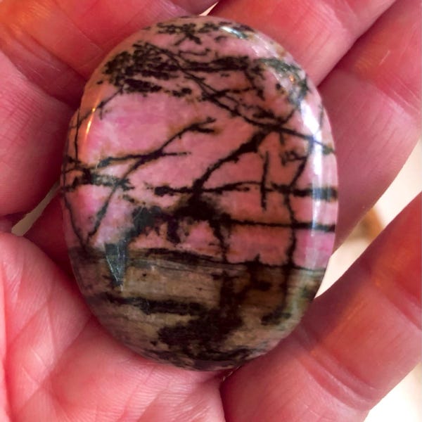 San-x Sumikko Gurashi Tapioca Park Stickers Sticker Sheet Japan Kawaii ...