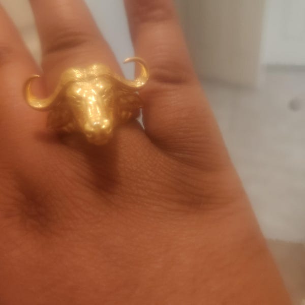 Ancient Egyptian God Seth Signet Silver Mens Ring, 925 Sterling Silver ...