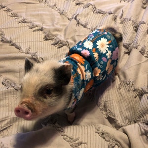 Summer Sun Strap Dress, Mini Pig Clothes to Prevent Sunburn on Skin ...