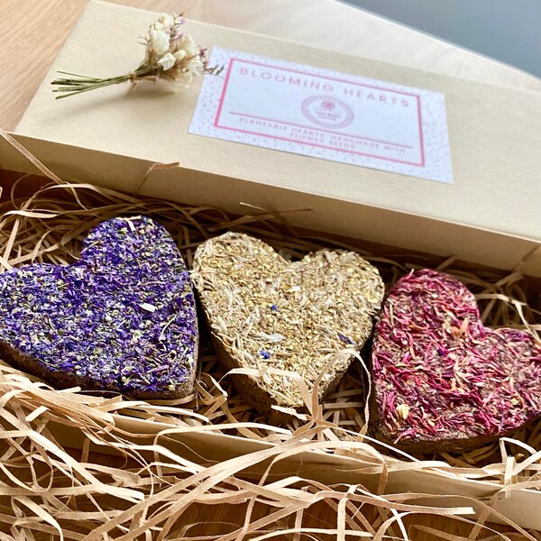 Personalised Wedding Favours Seed Packets, With Natural Biodegradable ...