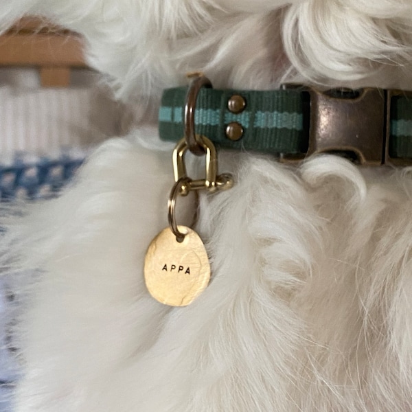 ROCCO: Hand Stamped Personalized Custom Pet ID Tags for Dogs and Cats ...