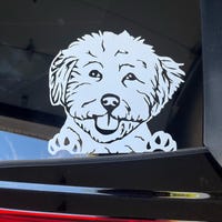 Pet Welcome Sign/ Pet Door Sign/ Dog Door Sign/pet Portrait Wreath/ Dog ...