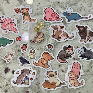 Feline Friends Sticker Set of 4 / Cat Meme Stickers / Kitten - Etsy
