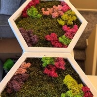 Hexagon Moss Wall Art Moss Wall Decor Preserved Moss Art Framed Moss ...