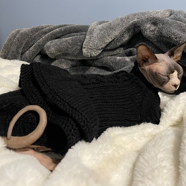 Yellow Cat Hat Hand Knit Sphynx Cat Accessories Pet Winter Beanie for ...