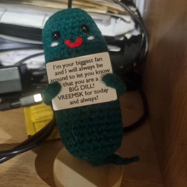 Handmade Crochet Emotional Support for Trash Cans on Fire, Incineration ...