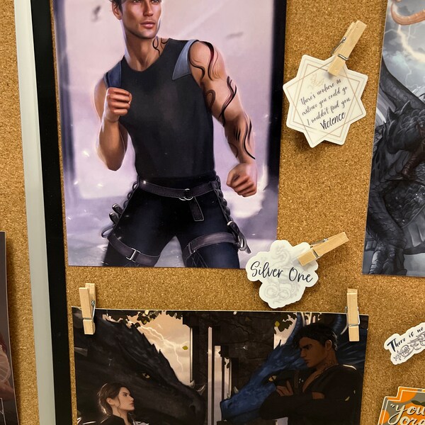 Sparring Shadows OFFICIALLY LICENSED Fourth Wing Premium Print - Etsy