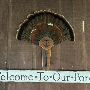 Classic Turkey Fan Mount - Etsy
