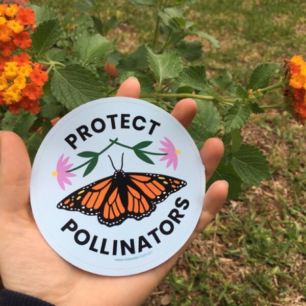 Protect Pollinators Sticker - Etsy