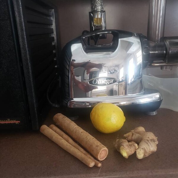 2-2.5lbs FRESH BURDOCK Root(gobo Root, Bardana) Free Shipping - Etsy