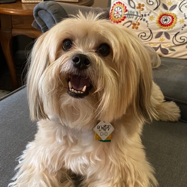 Pet Id Tag, Dog Tag, Custom Engraved Pet Tag, Square Dog Tag, Bone Dog ...