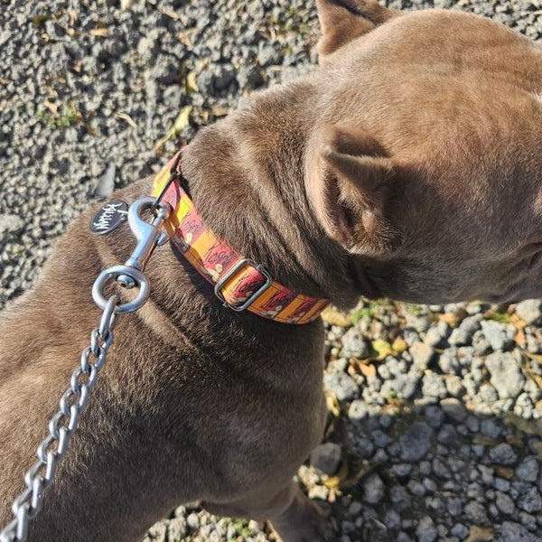 My Chemical Romance Band Dog Collar 2.0 - Etsy