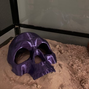 High Detail Human Skull Container Goth Storage Solution - Etsy